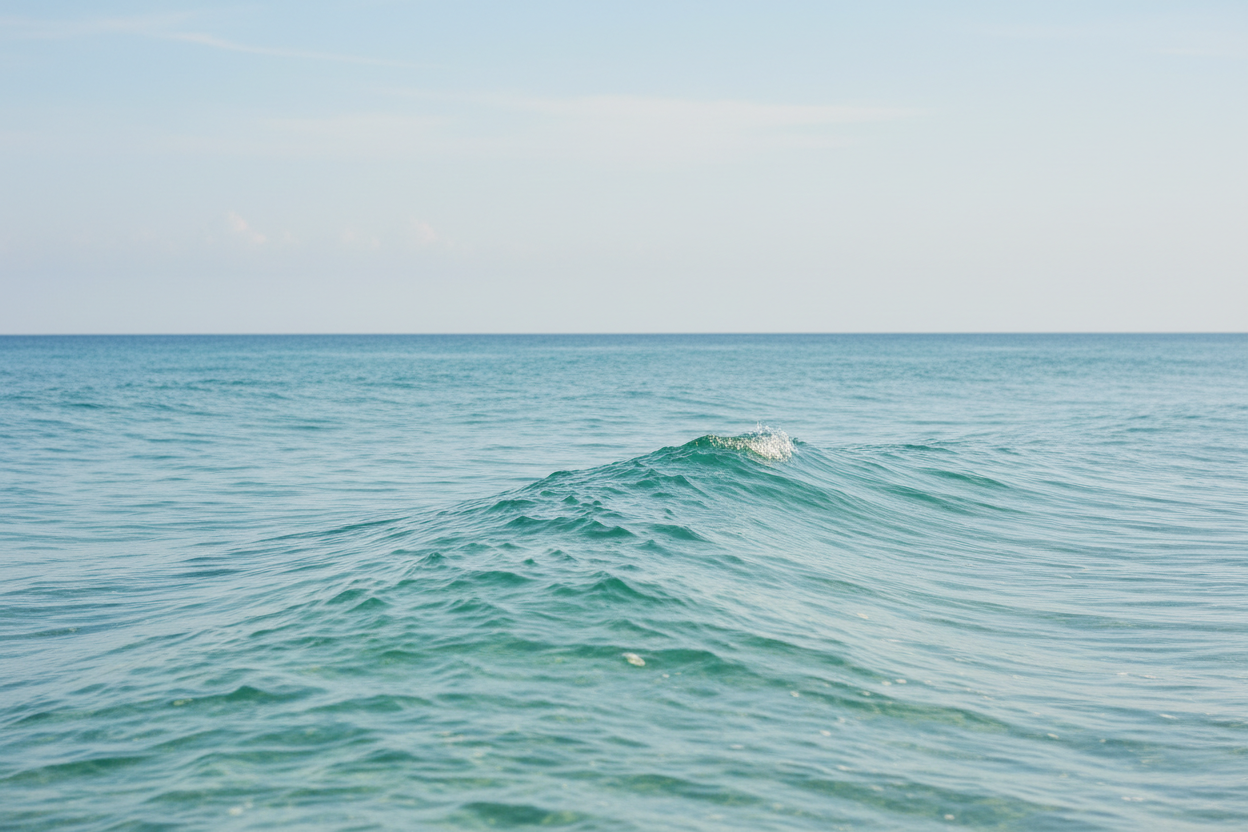 Pyzel White Tiger Surfboard Review – SwellSpy